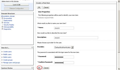 Hil And Co It Solutions Creating New User For Oracle Business Intelligence Enterprise Edition