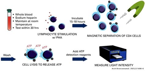 Predictive Value Of Immune Cell Functional Assay For Non