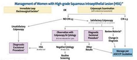 Cervical Ectopy Selected Aspects Of Diagnostics And Therapy Biores