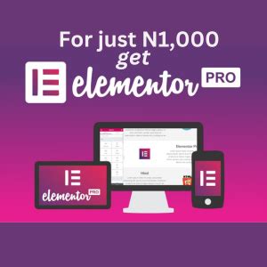 Buy Elementor PRO Best Page Builder For Just N By WPSource On Selar