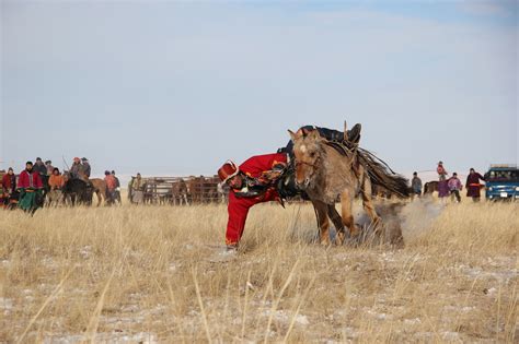 Улсын тэргүүний Сүхбаатар сумын аварга адуучин шалгаруулах АДУУЧИН тэмцээн болов