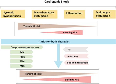Pathophysiology Of Cardiogenic Shock And The Balance Between Thrombotic