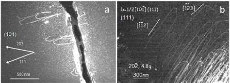 Dislocation Structures Produced Under Confining Pressure Of 5 Gpa At
