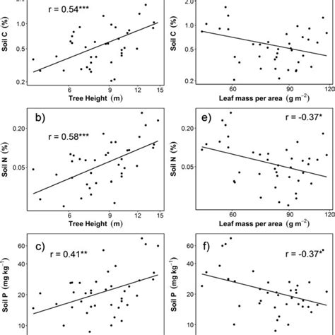Structural Equation Modeling Relating Tree Size Traits Leaf Structure