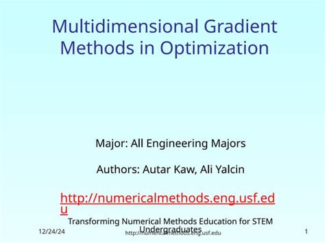 Multigradient Based Data Science Optimizationppt