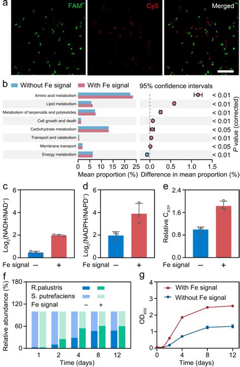 Redox Signaling Driven Modulation Of Microbial Biosynthesis And