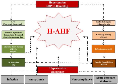 The Pathophysiology Of Hypertensive Acute Heart Failure Heart