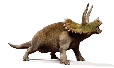 Discover Wyomings Dinosaur Legacy 10 Prehistoric Giants And Where To