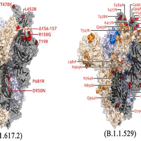 A Comparison Of Delta And Omicron Variant Spike Mutation 8 Om Spike