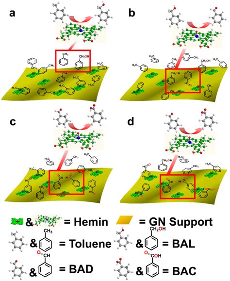 Interaction Of Substrateproducts With Gn Support At The Beginning Of