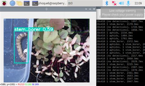 Trial Test Integration Of Smart Pest Monitoring And Detection System