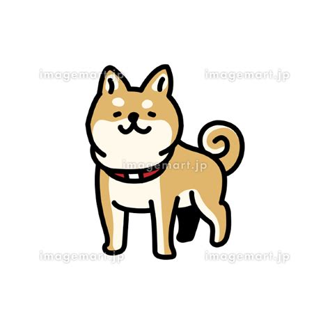 シンプルでかわいい微笑む柴犬のイラスト 193923133 イメージマート