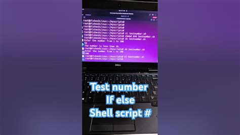 If Else Test Number Shell Script Linux Ubuntu Shortsviral Shortvideo Shorts Viral Song