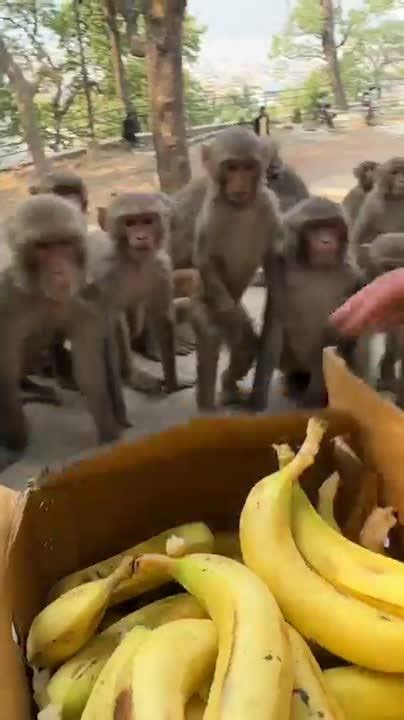 Raghvendra Singh Posted On Linkedin