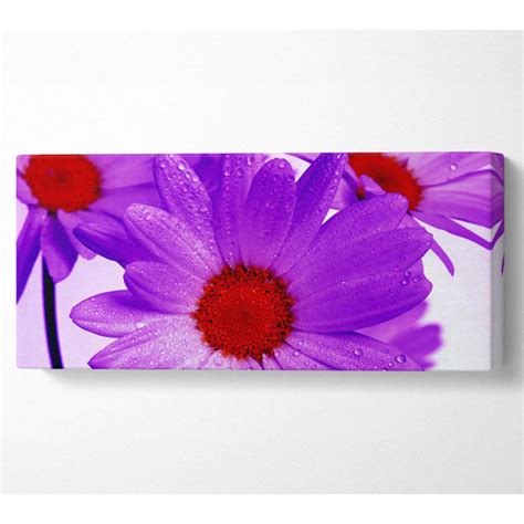 Rosalind Wheeler Purple Dew Drop Daisys Wrapped Canvas Art Prints