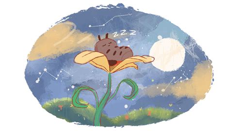 Sleepy Ladybug By Elibohanillustration On Deviantart