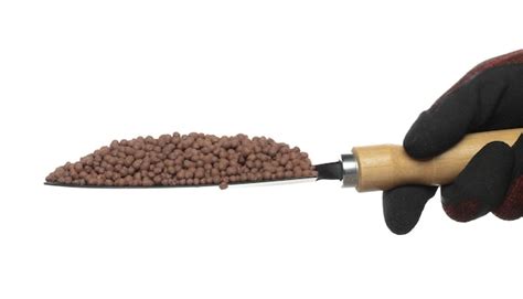 Premium Photo Clay Drainage Tiny Size Ball Pour Fall Down Explosion In Shovel Hand Clay