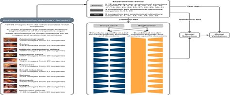 Anatomy Segmentation In Laparoscopic Surgery Comparison Of International Journal Of Surgery