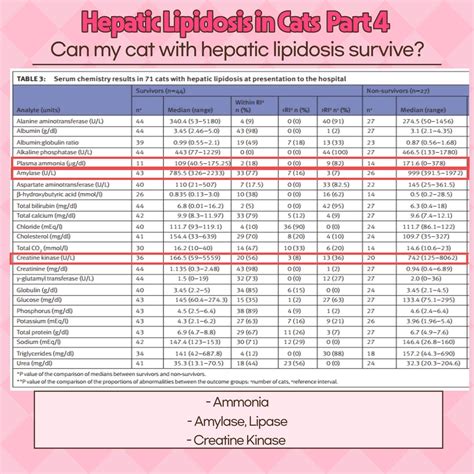 Hepatic Lipidosis In Cats Fatty Liver Syndrome Part 4 Branvine
