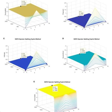 a the explicit operator splitting nsfd scheme is used to simulate