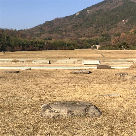 [블로그 리얼 씨] 익산 여행 익산시 문화관광 팸투어 3 미륵사지 석탑 동원9층석탑 국립익산박물관 다다영등
