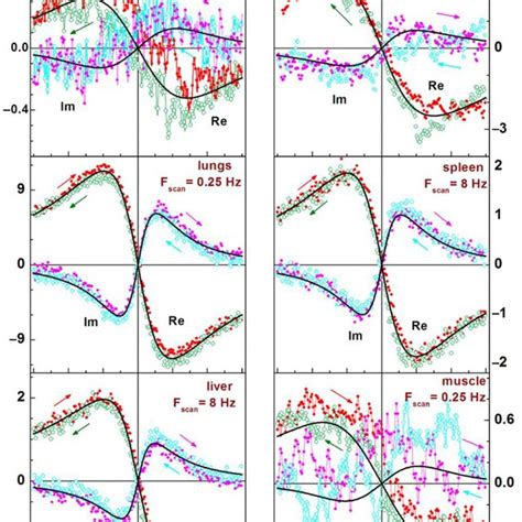 Real And Imaginary Parts Of The Nonlinear Magnetic Response As