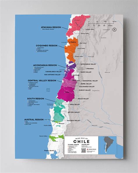 10 Cool Things To Know About Carménère Wine Wine Folly