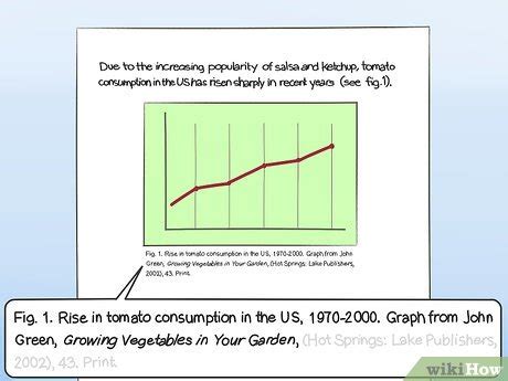 4 Ways To Cite A Graph In A Paper WikiHow