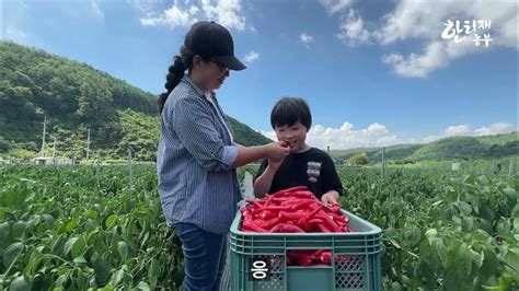 초딩 아들 고추먹이기 안매운고추 Youtube