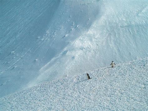 Using Openai Api For Recommendation Systems Techniques And Best Practices By Muthoni Wanyoike