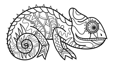 Chameleon Colouring Page Coloring Pages Chameleon Color Chameleon