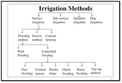 Different Types Of Irrigation Irrigation Systems