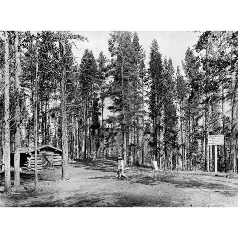 Wyoming Log Cabin C1913 Na Log Cabin In The Woods With A Marker