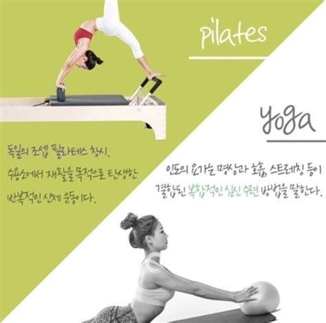 요가와 필라테스 차이 인스티즈instiz 이슈 카테고리