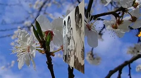 Моя визитная карточка На 13 районом конкурсе «Лучший по профессиисреди продавцов