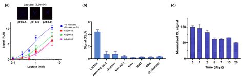 All In One Sustainable Thread Biosensor For Chemiluminescence Smartphone Detection Of Lactate In