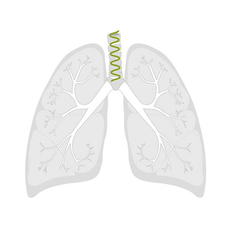 About Oscillometry Restech