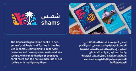 Abdelrahman Mohamed Posted On Linkedin