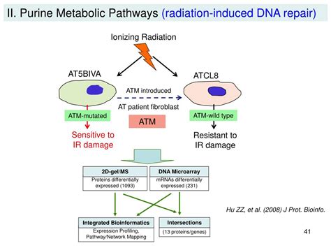 Ppt Functional Interpretation Of Large Scale Omics Data Through