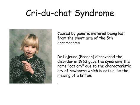 Ppt Classifying Genetic Disorders Powerpoint Presentation Free