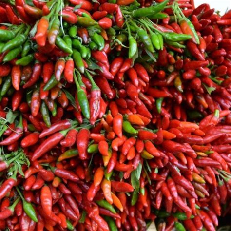 Kanthari Chilli Spiceorg India