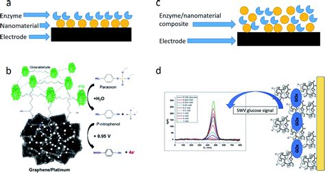 Advances In Nanomaterial Application In Enzyme Based Electrochemical Biosensors A Review