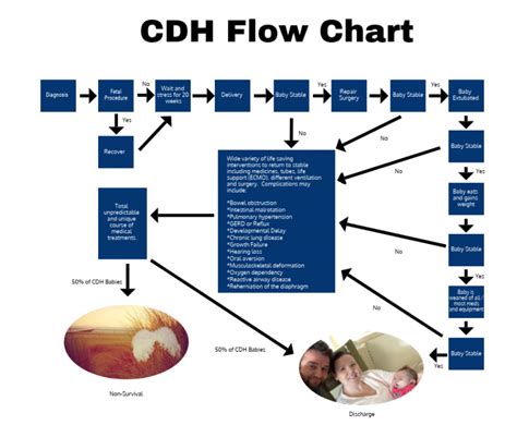 Congenital Diaphragmatic Hernia Treatments