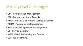 Capability Maturity Model Integartion PPTX Business Business And Finance