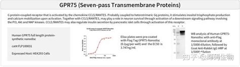 新品来袭 Synthetic Nanodisc全长多跨膜蛋白系列 知乎