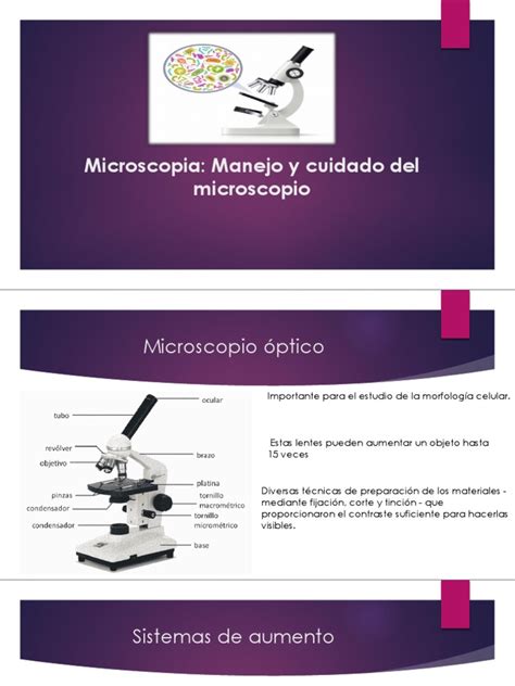 Manejo Y Uso Del Microscopio Pdf Resolución Angular Lente De La