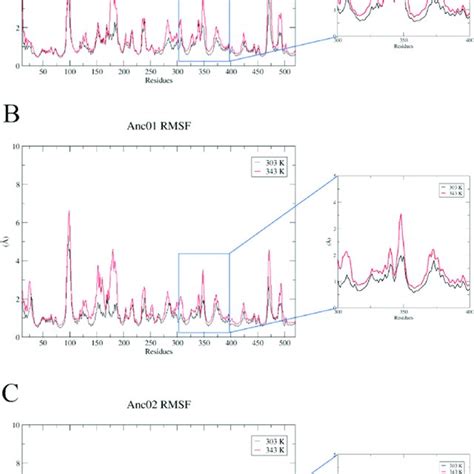 Average Backbone RMSF Of Wild Type A Anc01 B And Anc02 C At
