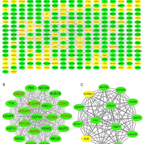 Ppi Network And The Top Two Clustering Modules A Ppi Network Of Download Scientific Diagram