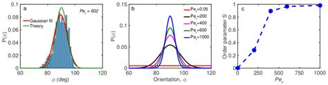 Orientation Dynamics Of A Confined Anisotropic Particle A Comparison