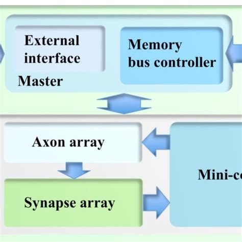 The Architecture Of The Cortex Simulator The System Consists Of A